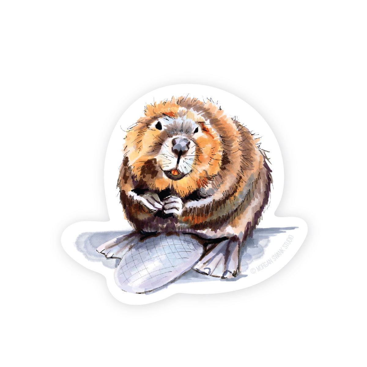 Beaver Sticker – Morgan Swank Studio